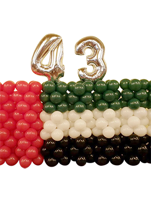 UAE Flag Balloon Wall Decoration With Numbers 51 – Balloons Co